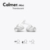 Calmer® | An Alternative To Traditional Earplugs – Flare Audio Ltd